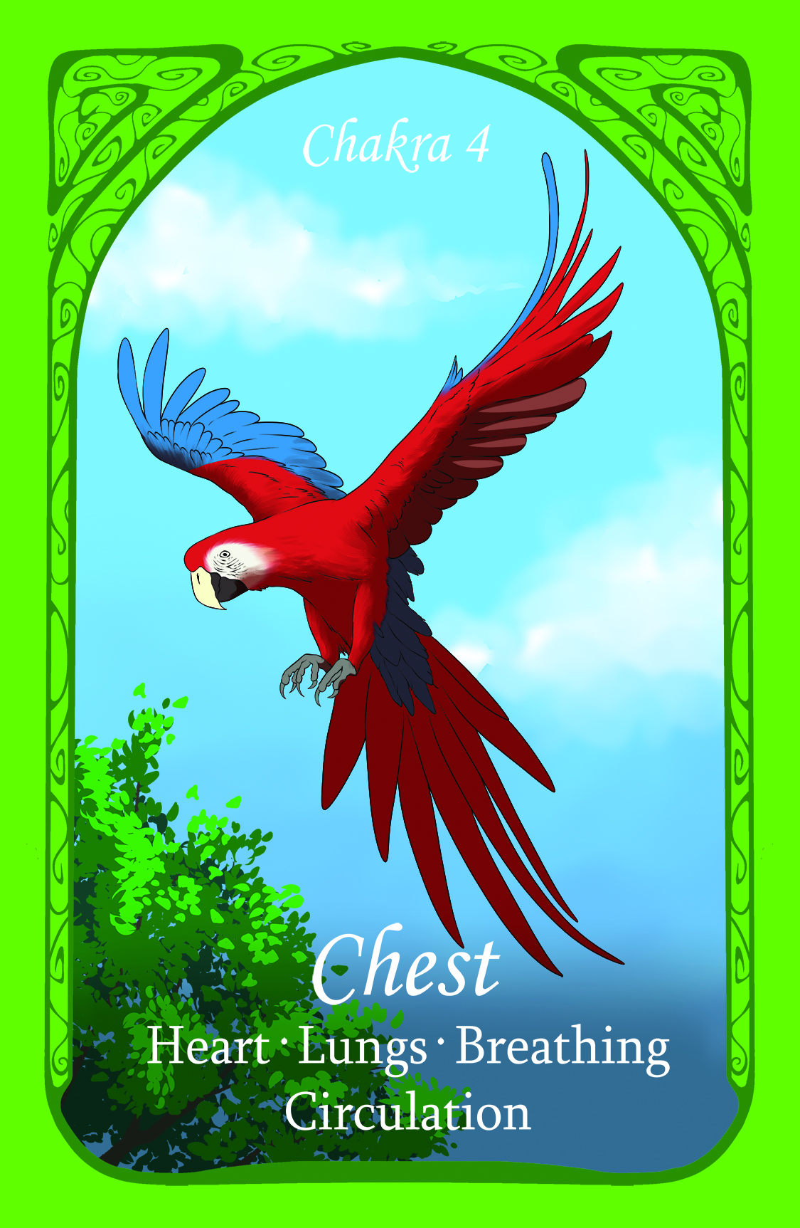 Animal Chakra Awareness Cards – Dr. Cara Gubbins