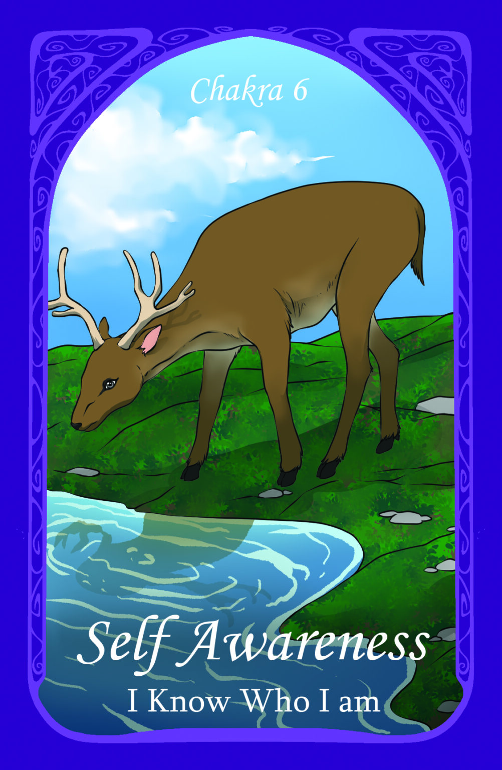 Animal Chakra Awareness Cards – Dr. Cara Gubbins